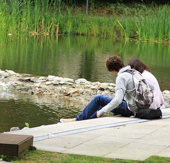 Parque Aquilino Ribeiro - N2